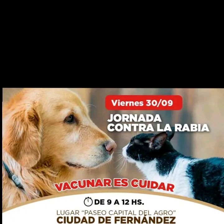 GRAN DESPLIEGUE DE ACTIVIDADES EN EL MARCO DEL DÍA MUNDIAL CONTRA LA ... GRAN DESPLIEGUE DE ACTIVIDADES EN EL MARCO DEL DÍA MUNDIAL CONTRA LA ...